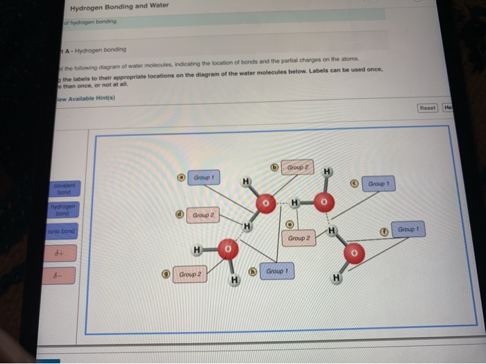 Learning Through Art Water Molecules And Hydrogen Bonding Vanstolivein