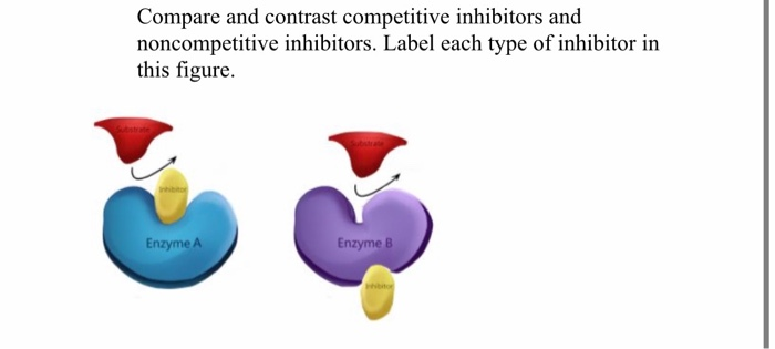 Solved Compare and contrast competitive inhibitors and | Chegg.com