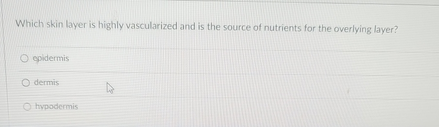 Solved Which skin layer is highly vascularized and is the | Chegg.com