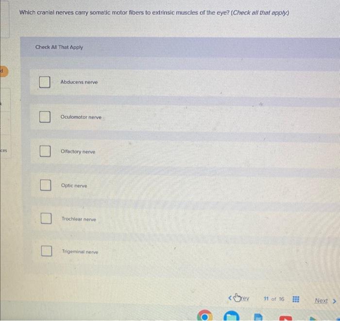 Solved Which cranial nerves carry somatic fibers to | Chegg.com