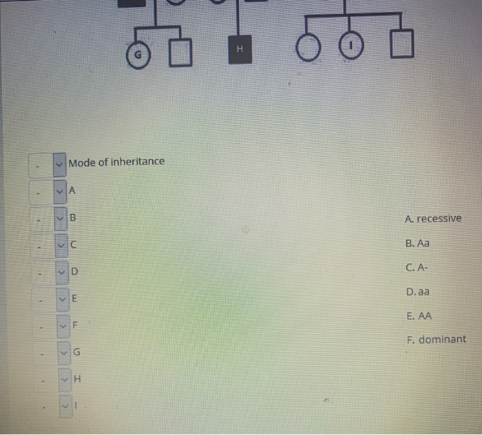 Solved Match the genotype to the individual on the pedigree. | Chegg.com