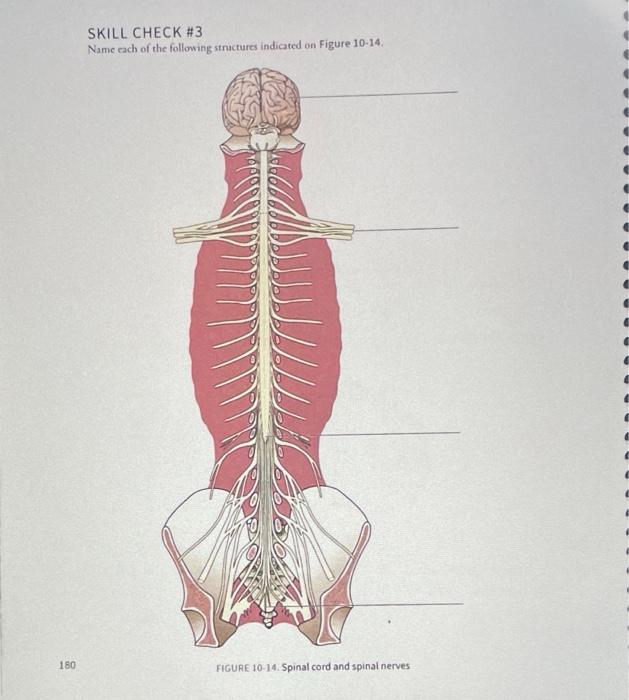 Solved Complete skill checks 1-3. SKILL CHECK #1 1. State | Chegg.com