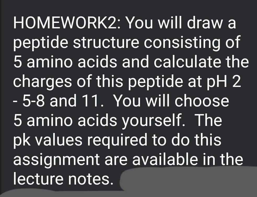 Solved HOMEWORK2: You will draw a peptide structure | Chegg.com