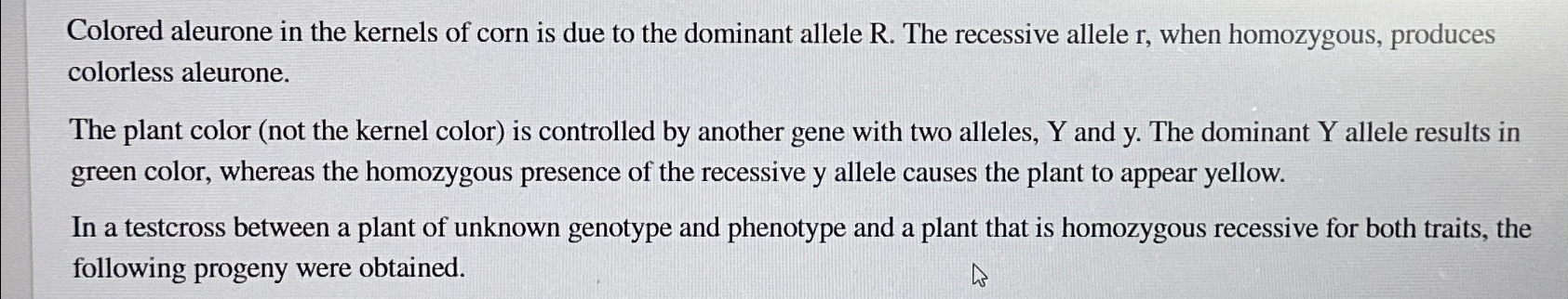 Solved Colored aleurone in the kernels of corn is due to the | Chegg.com