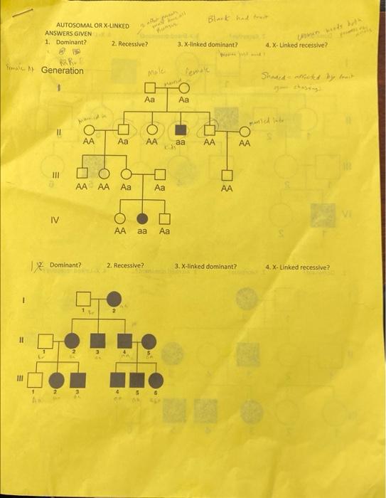 Solved 12. Dominant? 2. Recessive? 3. X-linked dominant? 4. | Chegg.com
