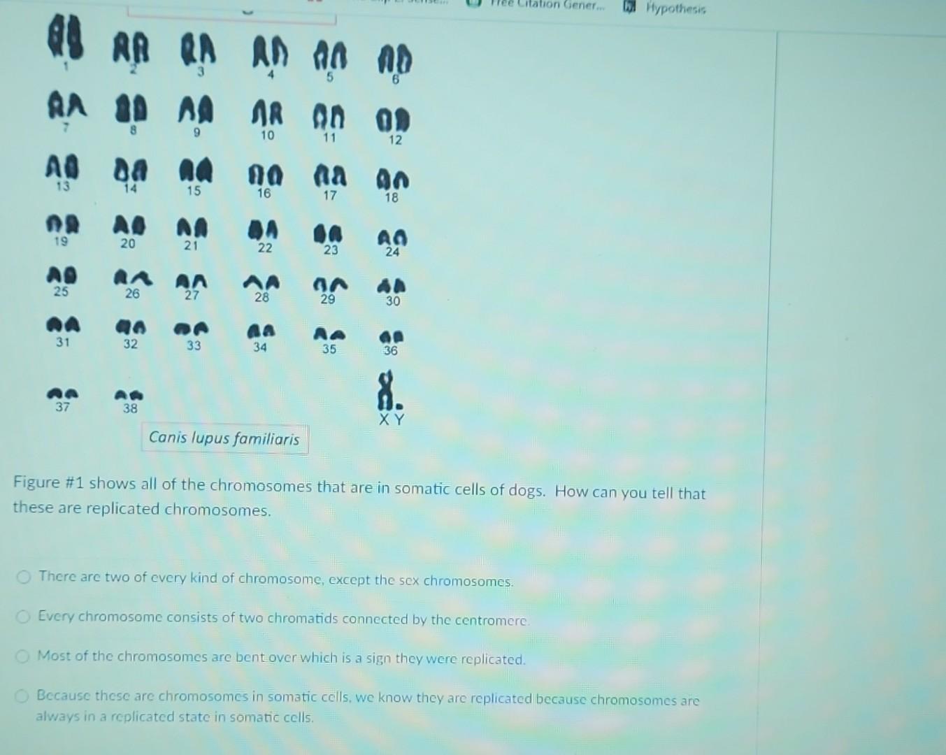 Solved Figure \#1 shows all of the chromosomes that are in | Chegg.com