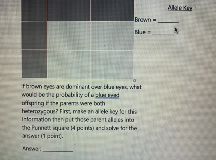 Solved Allele Key Brown = Blue = If brown eyes are dominant | Chegg.com