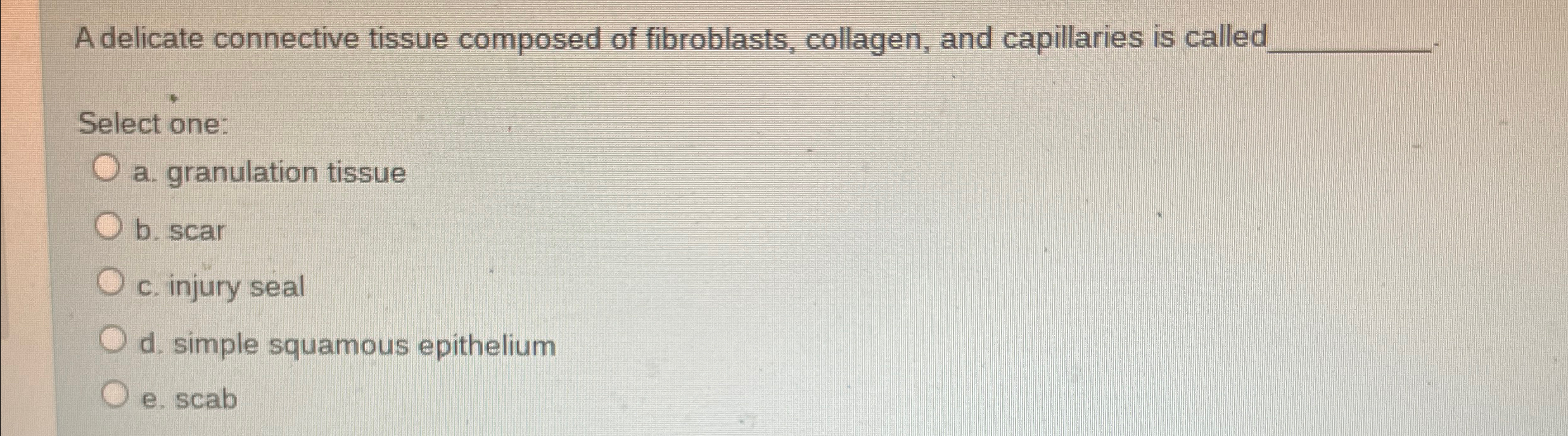 Solved A delicate connective tissue composed of fibroblasts, | Chegg.com Solved A delicate connective tissue composed of fibroblasts, | Chegg.com