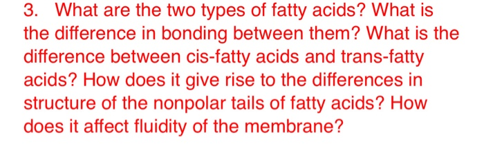 Solved 3. What are the two types of fatty acids? What is the | Chegg.com