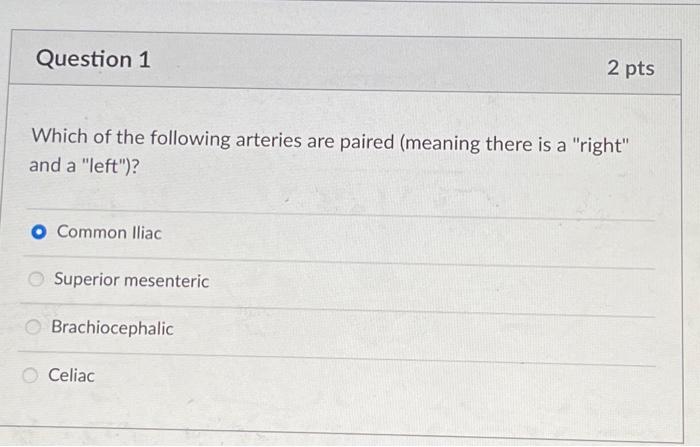 Solved Question 1 Which of the following arteries are paired | Chegg.com