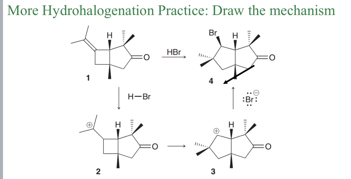 Solved More Hydrohalogenation Practice: Draw the mechanism | Chegg.com