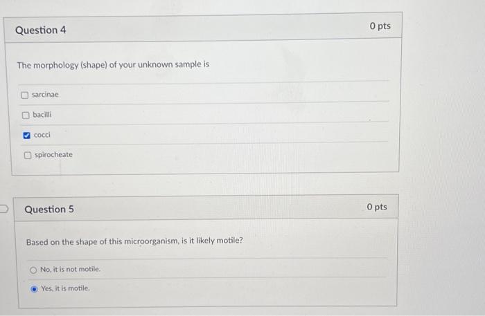 Solved endospore stain; negative capsule; positive acid | Chegg.com