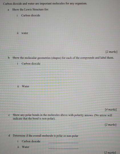 Solved Carbon dioxide and water are important molecules for | Chegg.com
