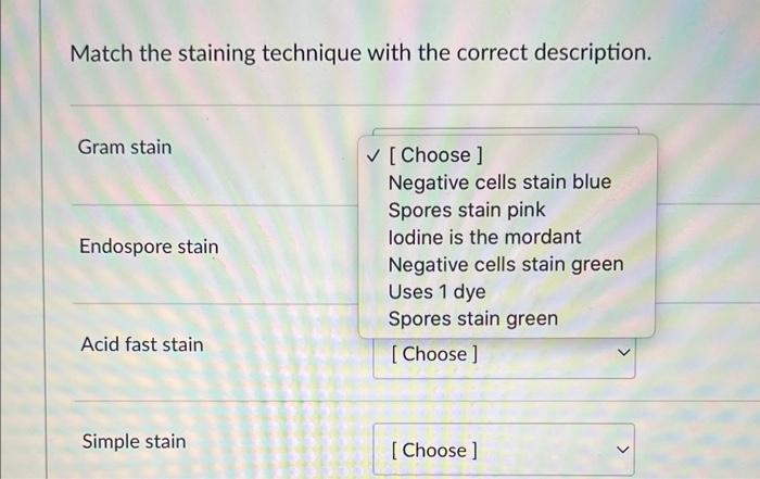 Solved Match the staining technique with the correct | Chegg.com