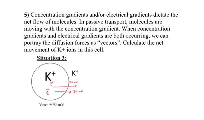 5) Concentration gradients and/or electrical | Chegg.com