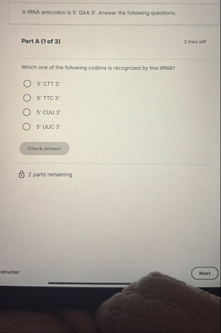Solved A tRNA anticodon is 5' ﻿GAA 3'. ﻿Answer the following | Chegg.com