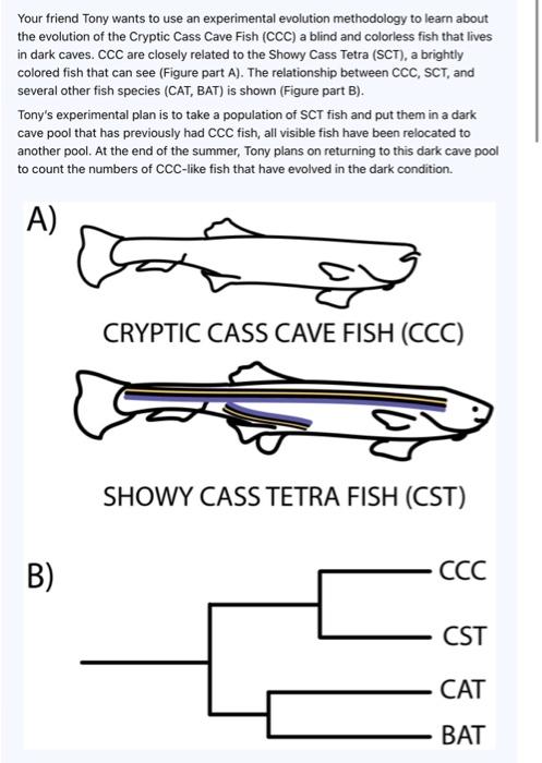 Solved Your friend Tony wants to use an experimental | Chegg.com