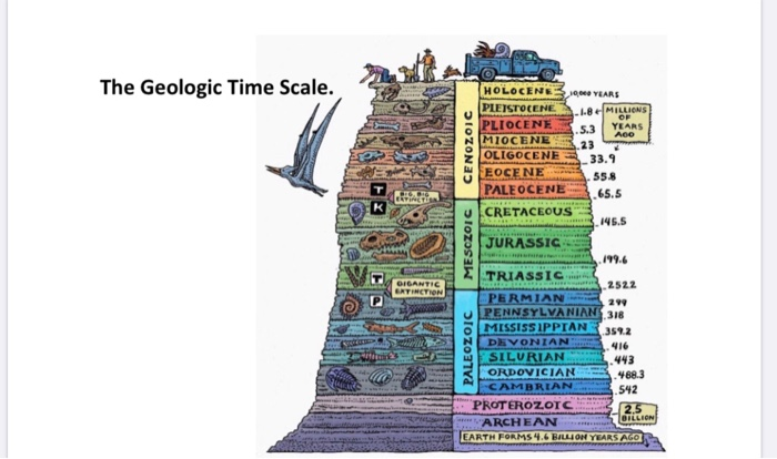 Solved The Geologic Time Scale. HOLOCENEO YEARS PLEISTOCENE | Chegg.com