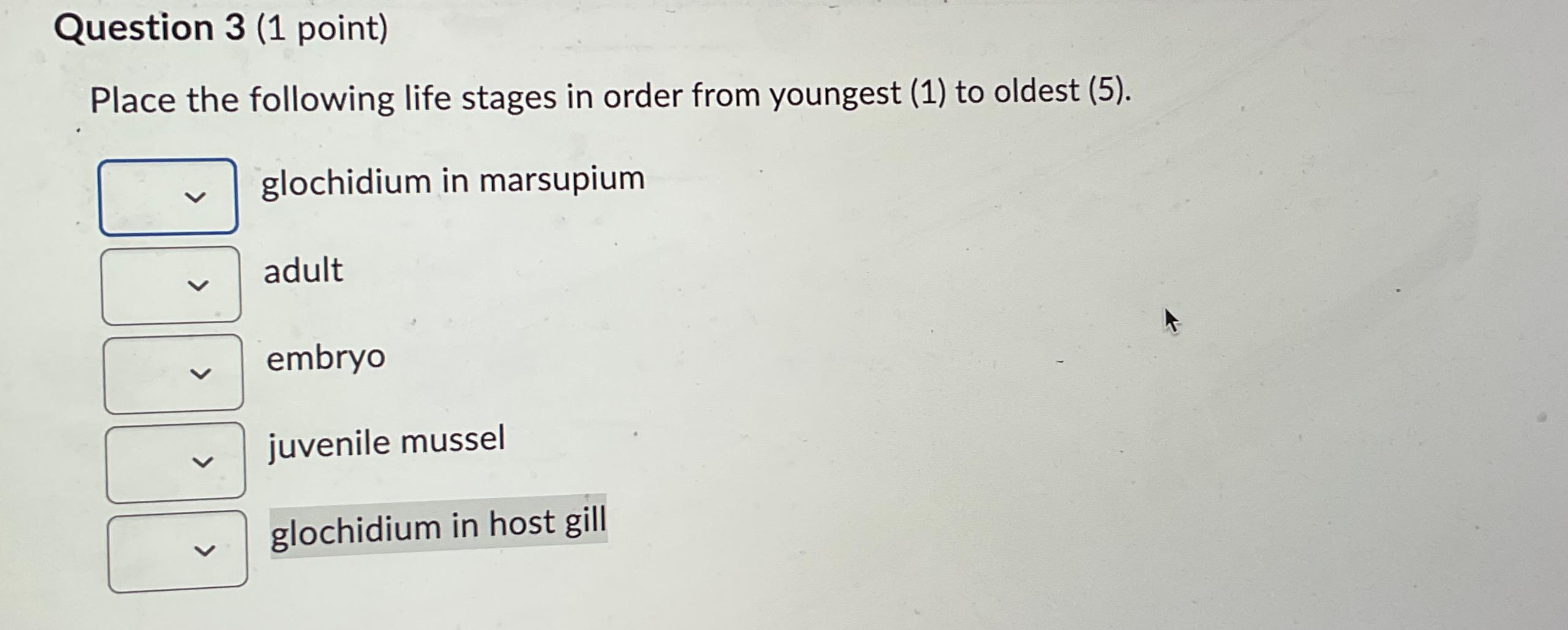 Solved Question 3 (1 ﻿point)Place the following life stages | Chegg.com