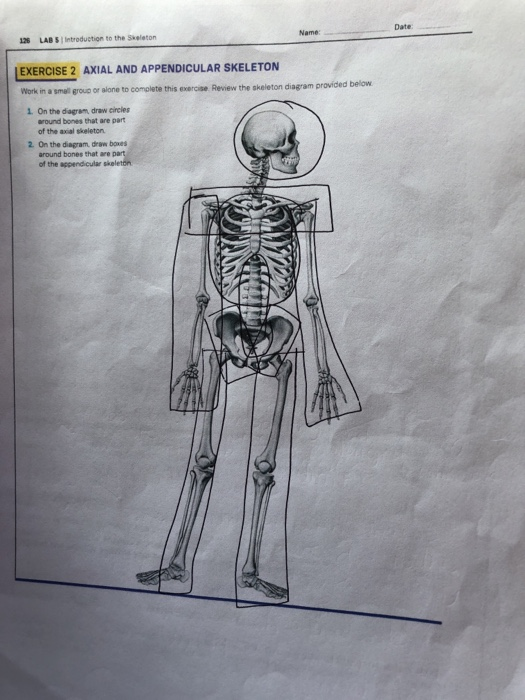 Solved RITICAL THINKING QUESTIONS se a separate sheet of | Chegg.com