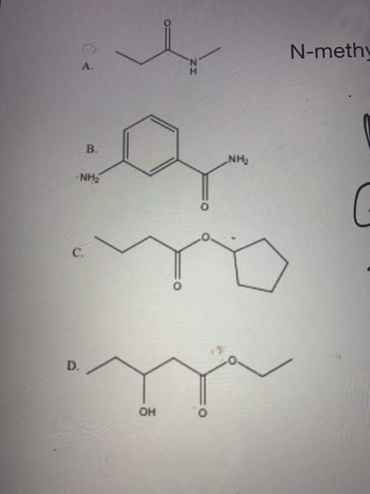 Solved N-methy A. B. NH, NH, C. D. OH | Chegg.com