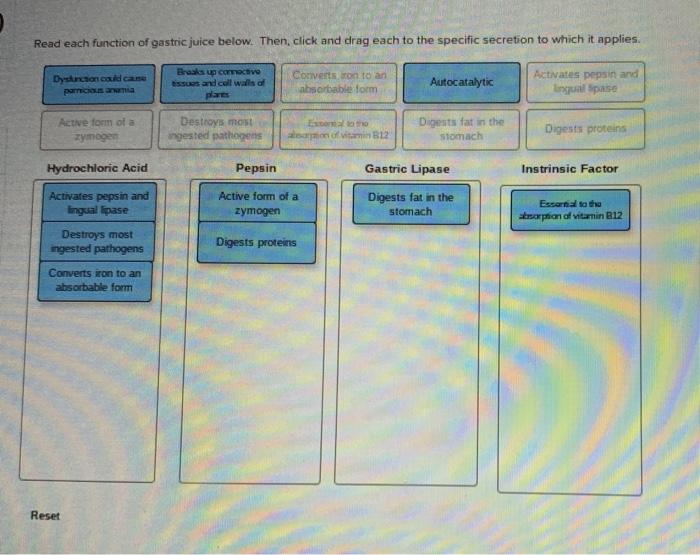 Solved read each function of gastric juice below then click | Chegg.com
