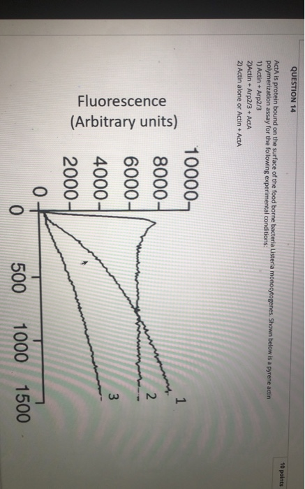 QUESTIONS WHAMM is a nucleation promoting factor. | Chegg.com