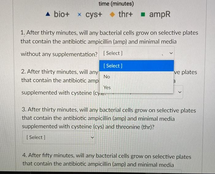 Solved You've set up an interrupted mating experiment using | Chegg.com