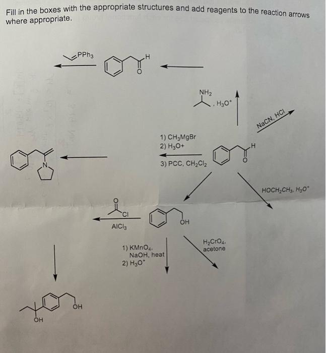 Solved Fill in the boxes with the appropriate structures and | Chegg.com