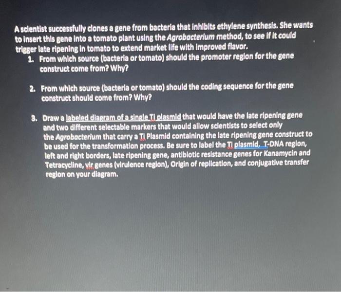 Asclentist successfully clones a gene from bacteria | Chegg.com