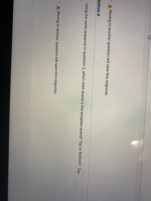 Solved tion 2 An E. coli transcript with the first two | Chegg.com