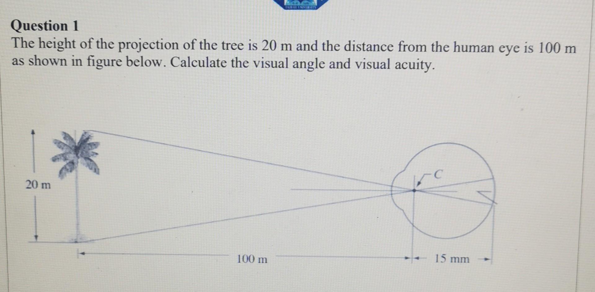 Question 1 The height of the projection of the tree | Chegg.com