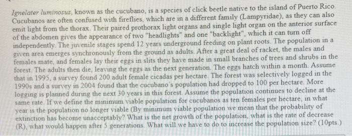 a Ignelater luminosus, known as the cucubano, is a | Chegg.com