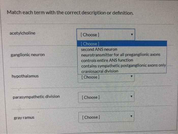 Solved Match each term with the correct description or | Chegg.com
