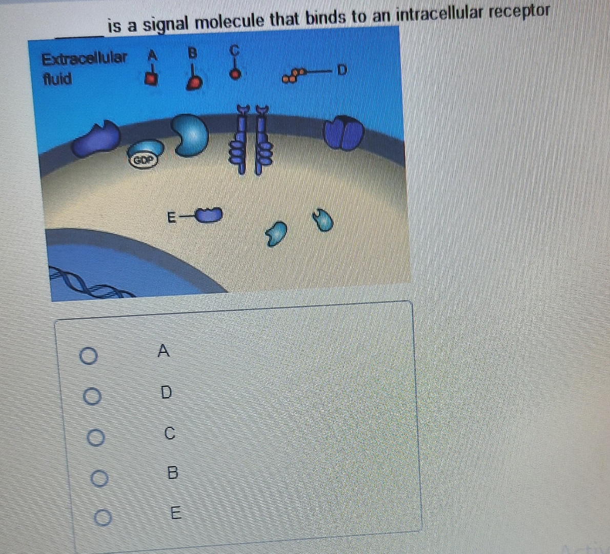 Solved is a signal molecule that binds to an intracellular | Chegg.com