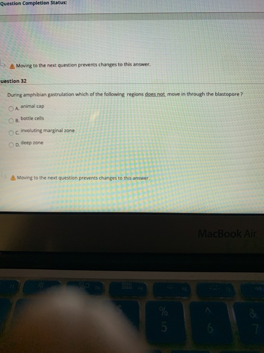 Solved Question Completion Status: Moving to the next | Chegg.com