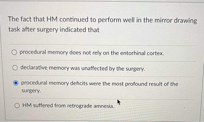Solved The fact that HM continued to perform well in the | Chegg.com