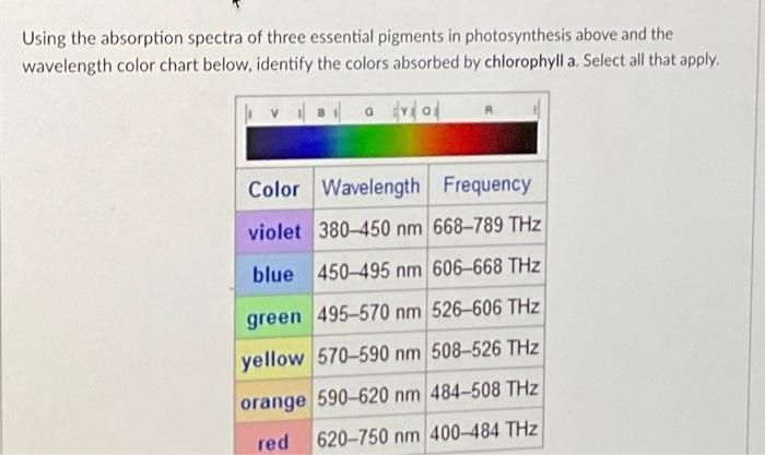 Solved Using the absorption spectra of three essential | Chegg.com