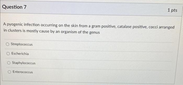 Solved Question 7 1 pts A pyogenic infection occurring on | Chegg.com