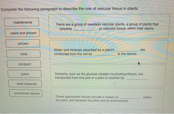 Solved Complete The Following Paragraph To Describe The Role Chegg