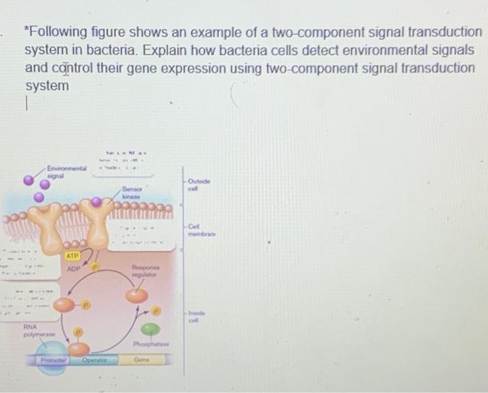 Solved *Following figure shows an example of a two-component | Chegg.com