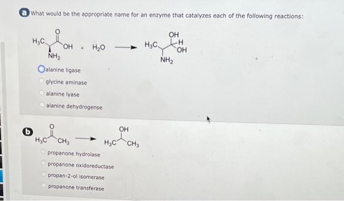 Solved What would be the appropriate name for an enzyme that | Chegg.com