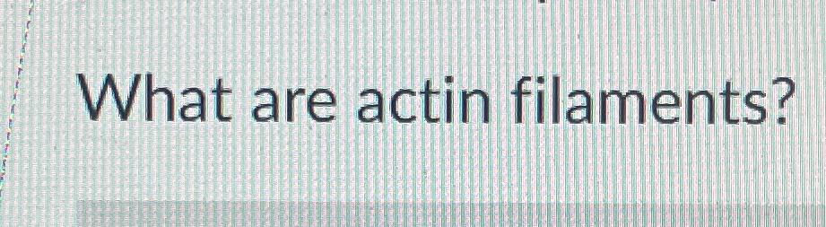 Solved What are actin filaments? | Chegg.com