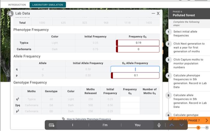 Solved Lab Data 1000 615 Phenotype Frequency Allele | Chegg.com