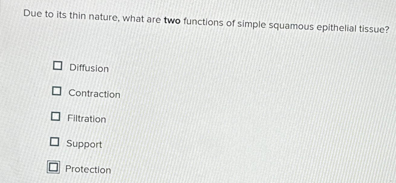 Solved Due to its thin nature, what are two functions of | Chegg.com