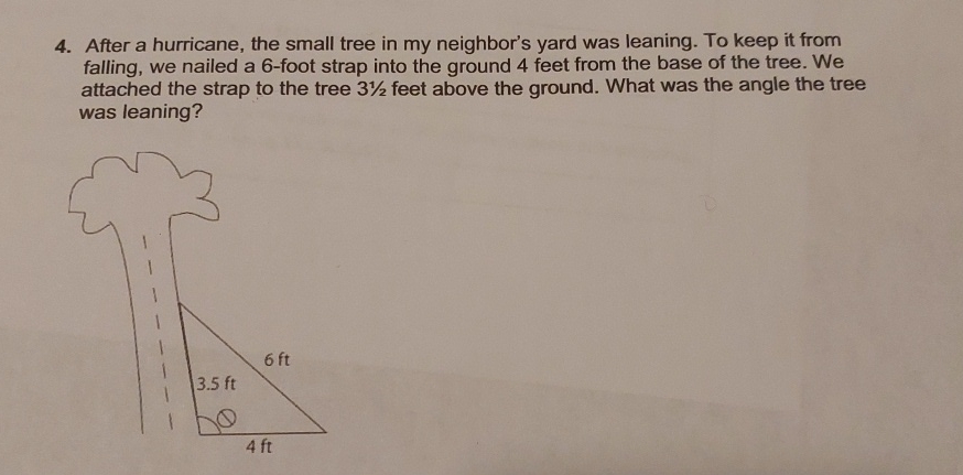 Solved After a hurricane, the small tree in my neighbor's | Chegg.com