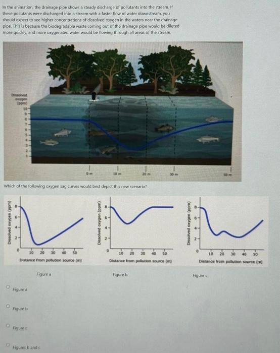 Solved In the animation, the drainage pipe shows a steady | Chegg.com