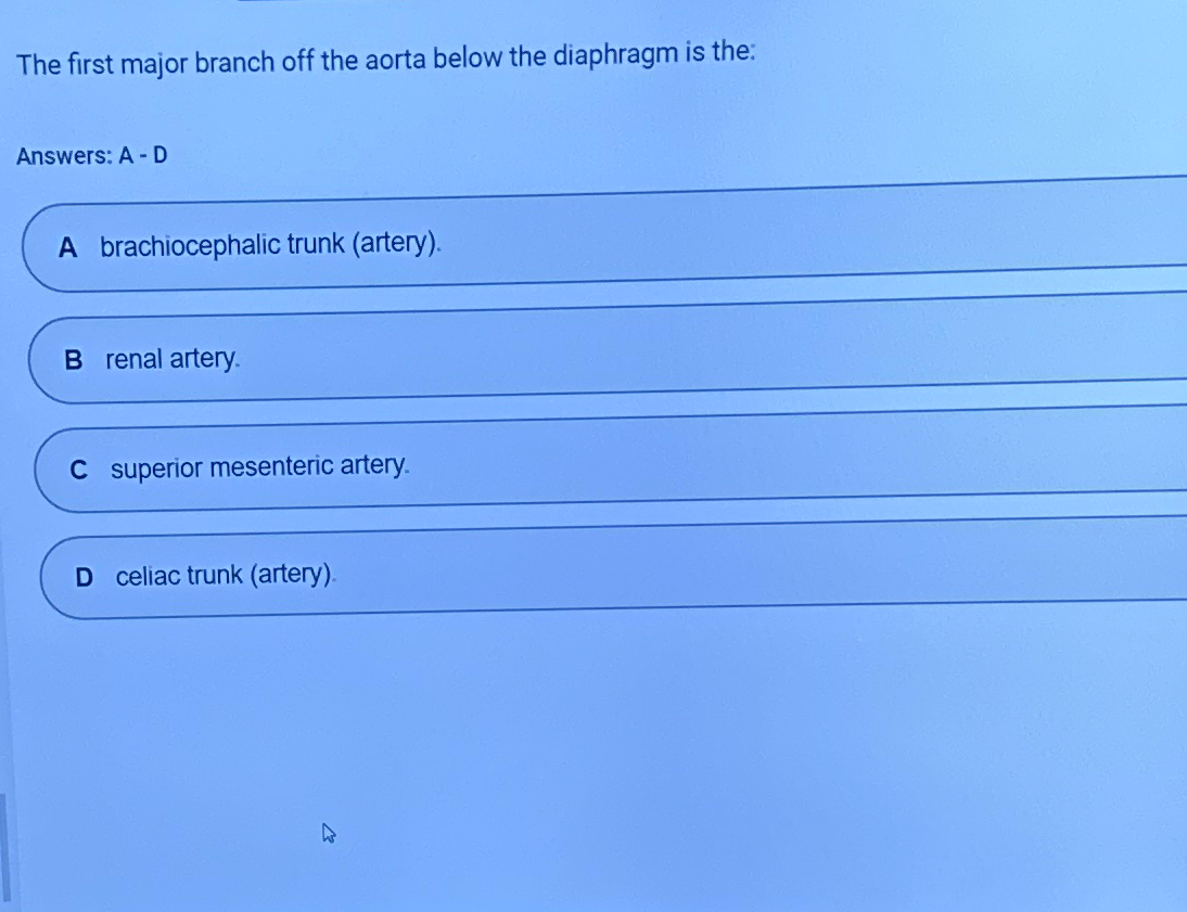 Solved The first major branch off the aorta below the | Chegg.com