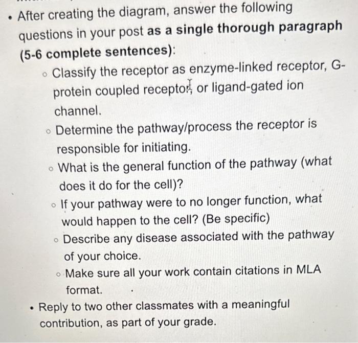 Solved ffer creating the diagram, answer the following | Chegg.com