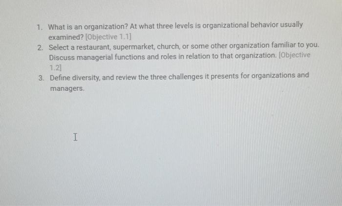 Solved 1. What is an organization? At what three levels is | Chegg.com